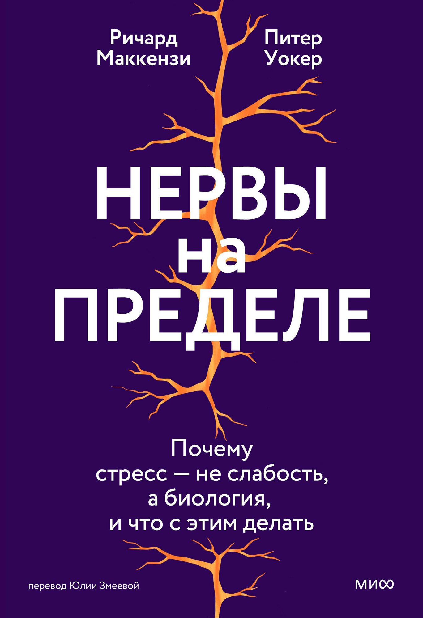 Нервы на пределе. Почему стресс — не слабость, а биология, и что с этим делать