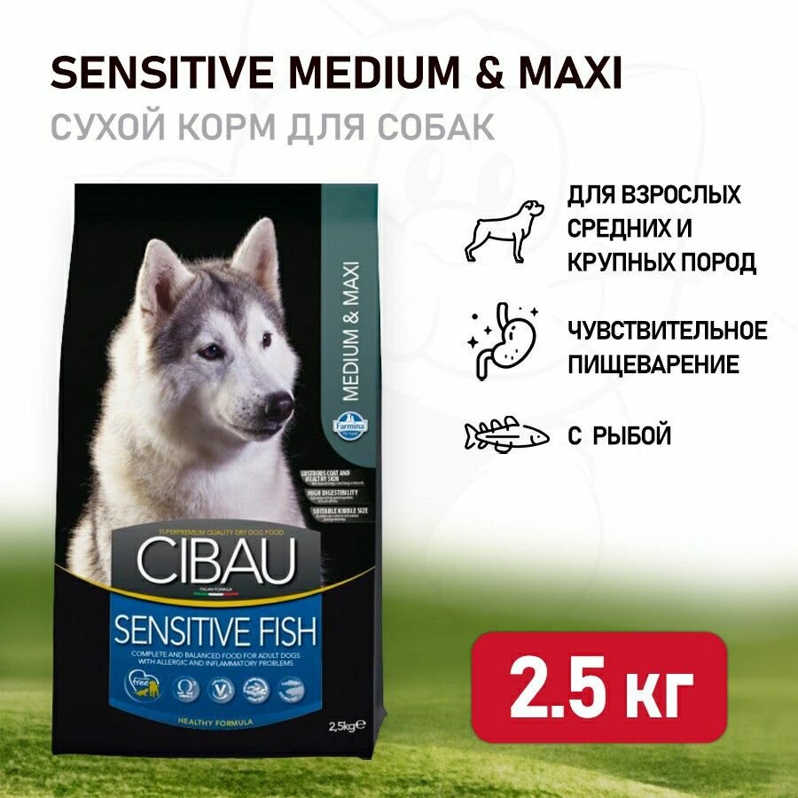 Farmina Cibau Sensitive Fish Medium & Maxi 2,5 кг, сухой корм для взрослых собак средних и крупных пород с чувствительным пищеварением с рыбой