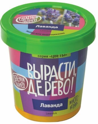 Набор для выращивания растений вырасти дерево! «Лаванда» (банка, грунт, семена)