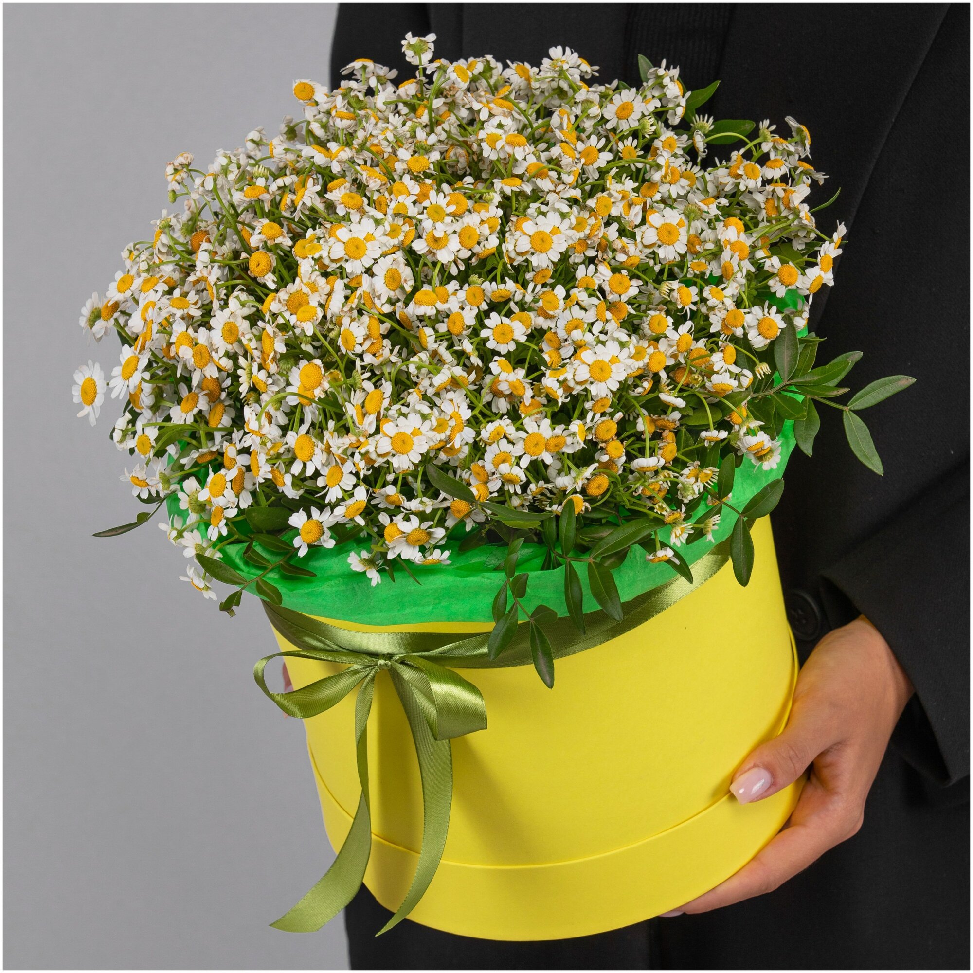 Композиция Мегацвет24, "25 кустовых ромашек", кремовые, в шляпной коробке