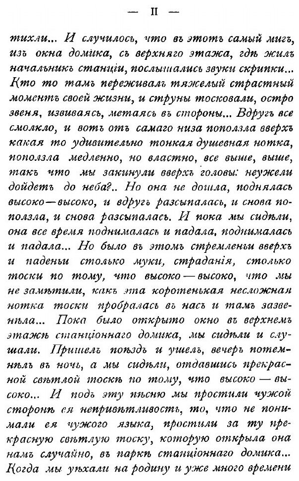 Бессмертники — фото 1