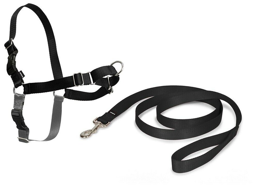 Корректирующая шлейка Easy Walk "Не тяни!" с поводком, черная, размер M