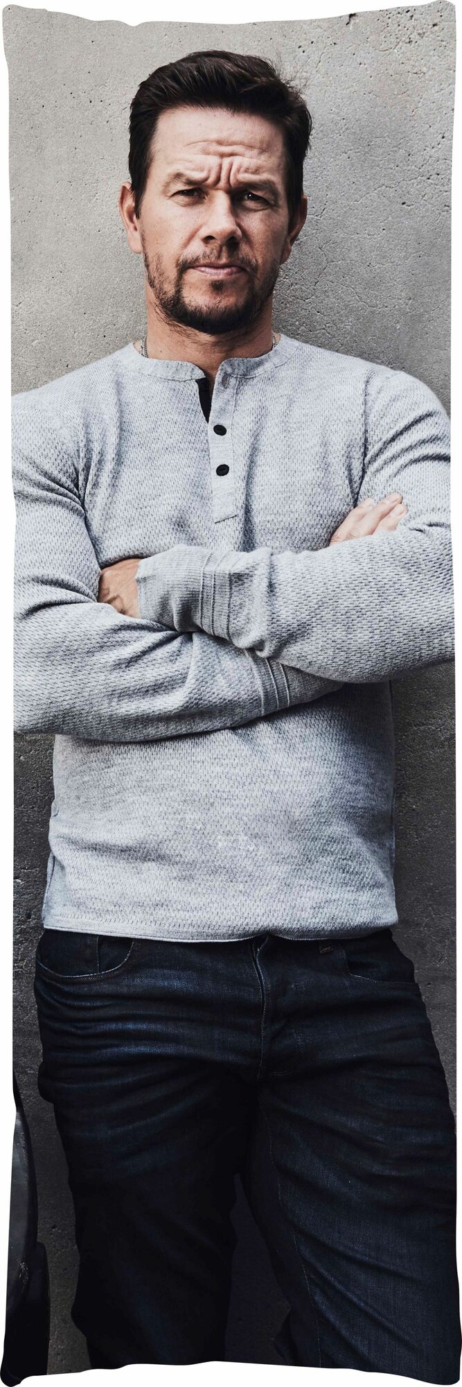 Мини дакимакура Марк Уолберг Mark Wahlberg