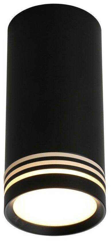 OML-100819-01 Светильник потолочный Omnilux Olona