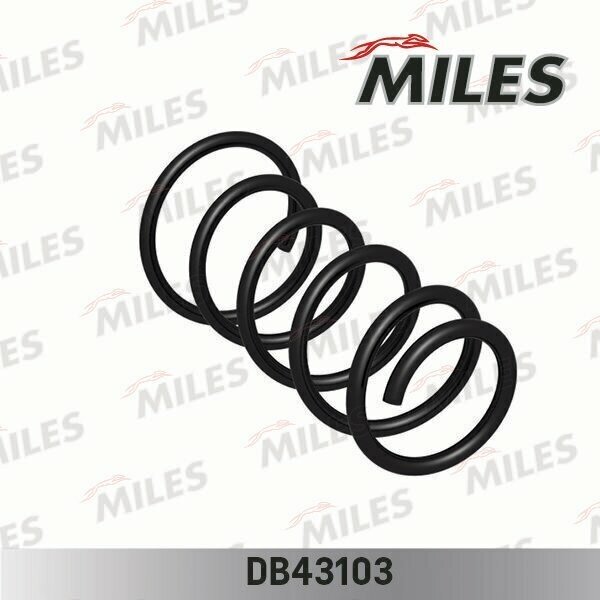 Пружина подвески передняя, 2 шт для Рено Дастер арт DB43103