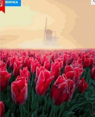 Поле тюльпанов