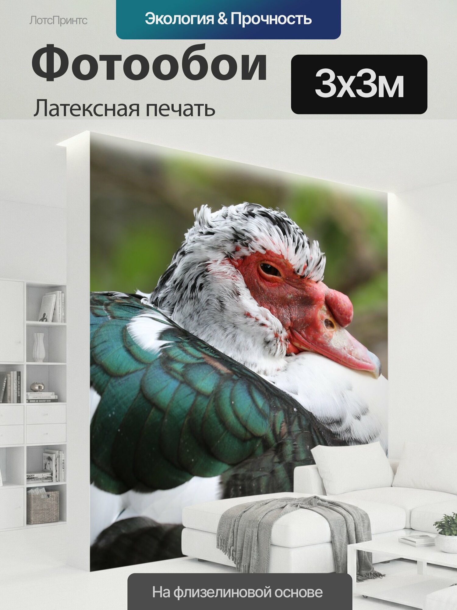 Фотообои моющиеся ударопрочные "Indoutka, утка, гадкий утенок" 300x300 см. латексная печать