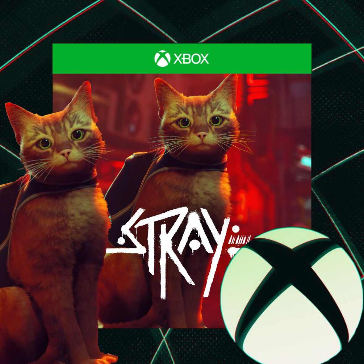 Игра Stray, цифровой ключ для Xbox One/Series X|S, Русский язык