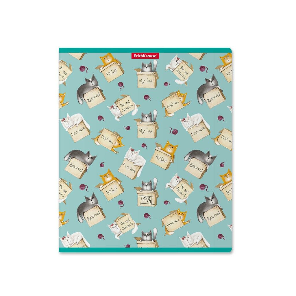 ErichKrause Тетрадь "Cat & Box", А5, 48 листов, клетка