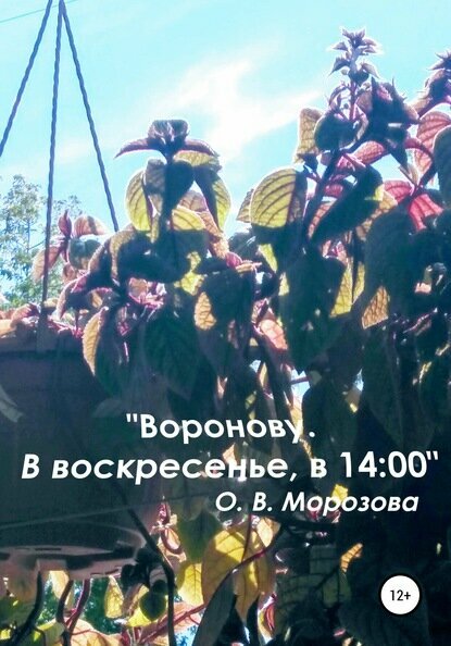 «Воронову. В воскресенье, в 14:00» [Цифровая книга]