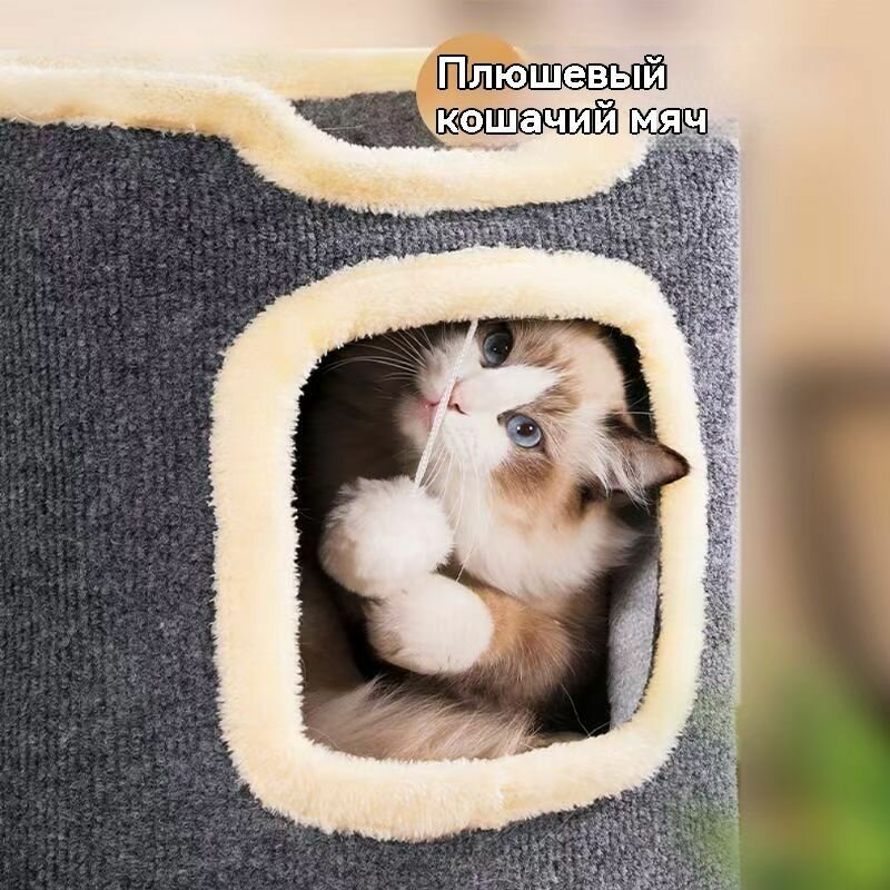 Когтеточка — фото 1