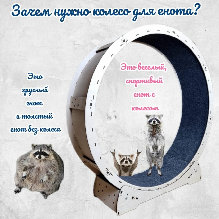 Беговое колесо для Енотов