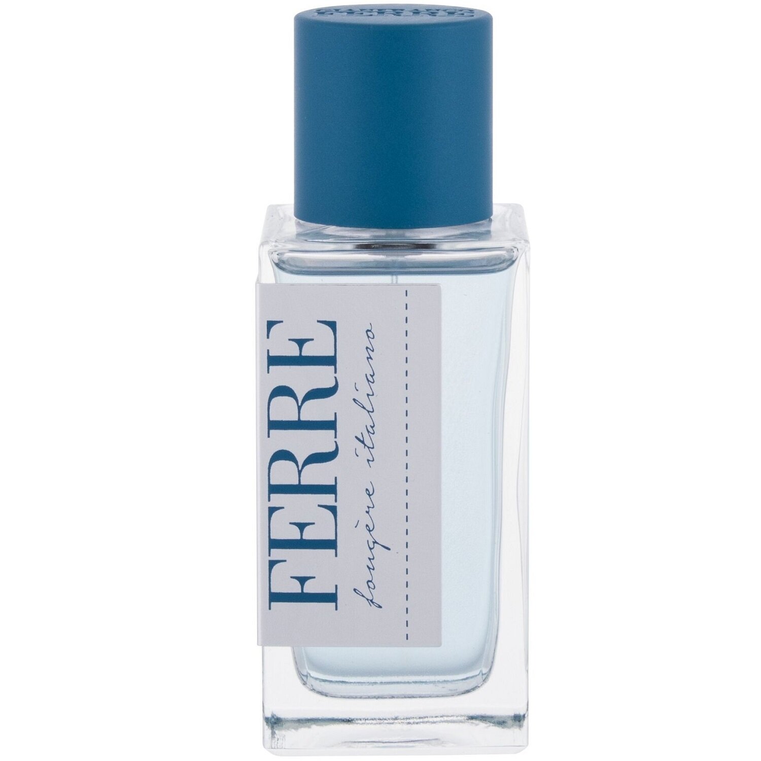 Туалетная вода GianFranco Ferre Fougere, аромат для мужчин, 100 мл (ref. 287)