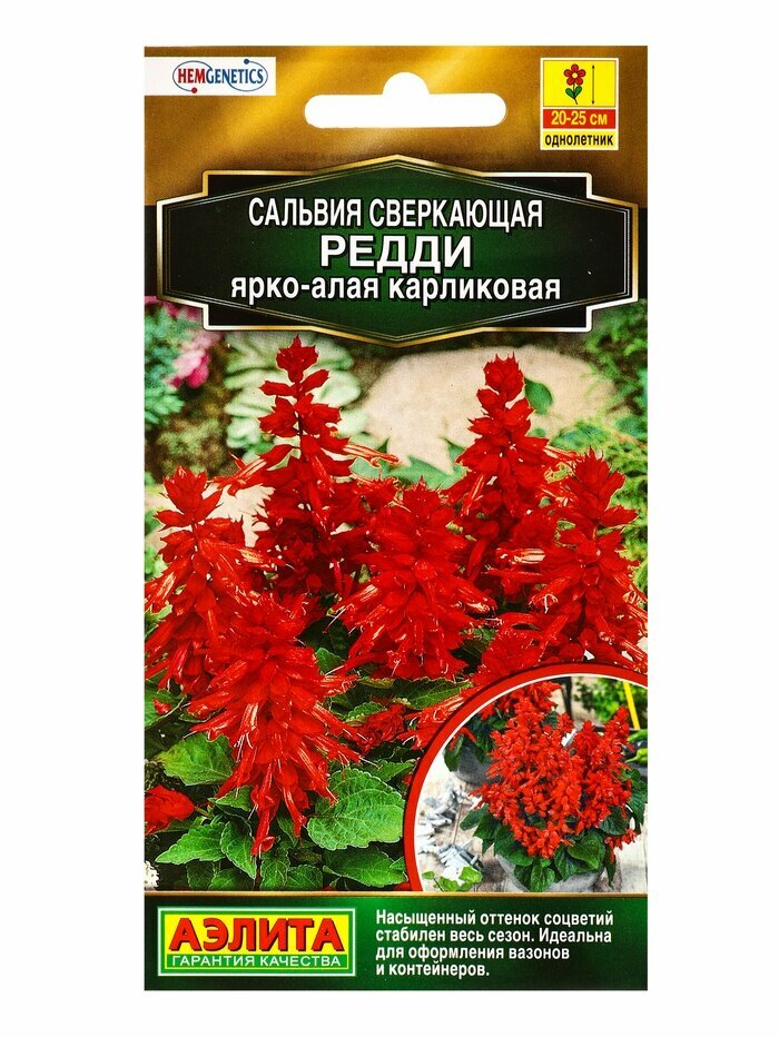 Семена цветов Сальвия Редди ярко-алая карликовая С. Hem Genetics Золотая серия, Ц/П,7 шт. 10945894