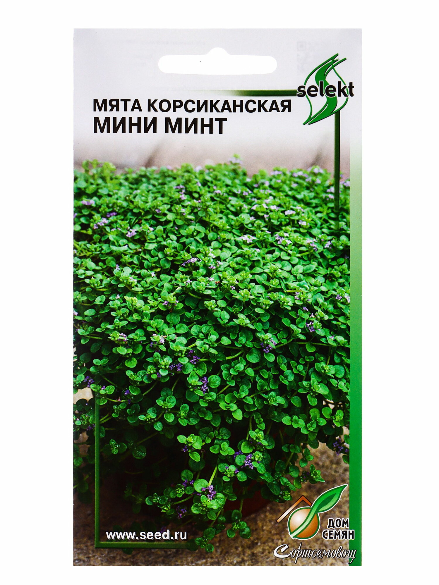 Семена цветов Мята Корсиканская Мини Минт 5 шт, размер упаковки: 8 x 0.2 x 15 см.