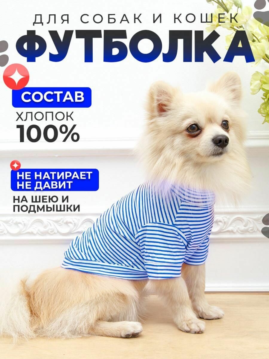 Одежда для животных