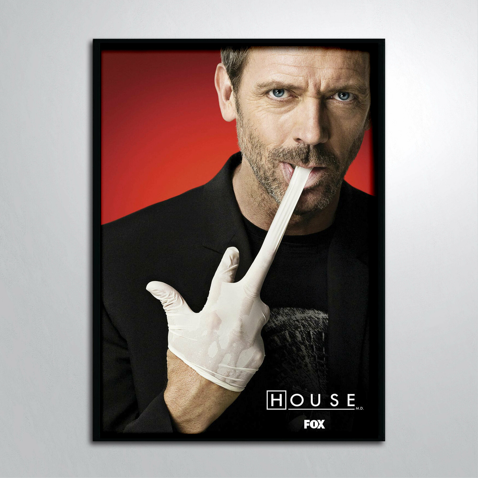 Постер в раме/Доктор Хаус Перчатки House M.D.