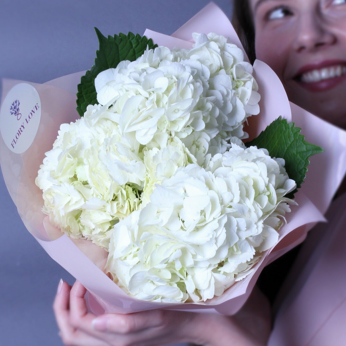 Монобукет из 3-х белых премиальных гортензий " Белые облака"