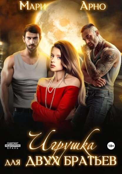 Игрушка для двух братьев [Цифровая книга]