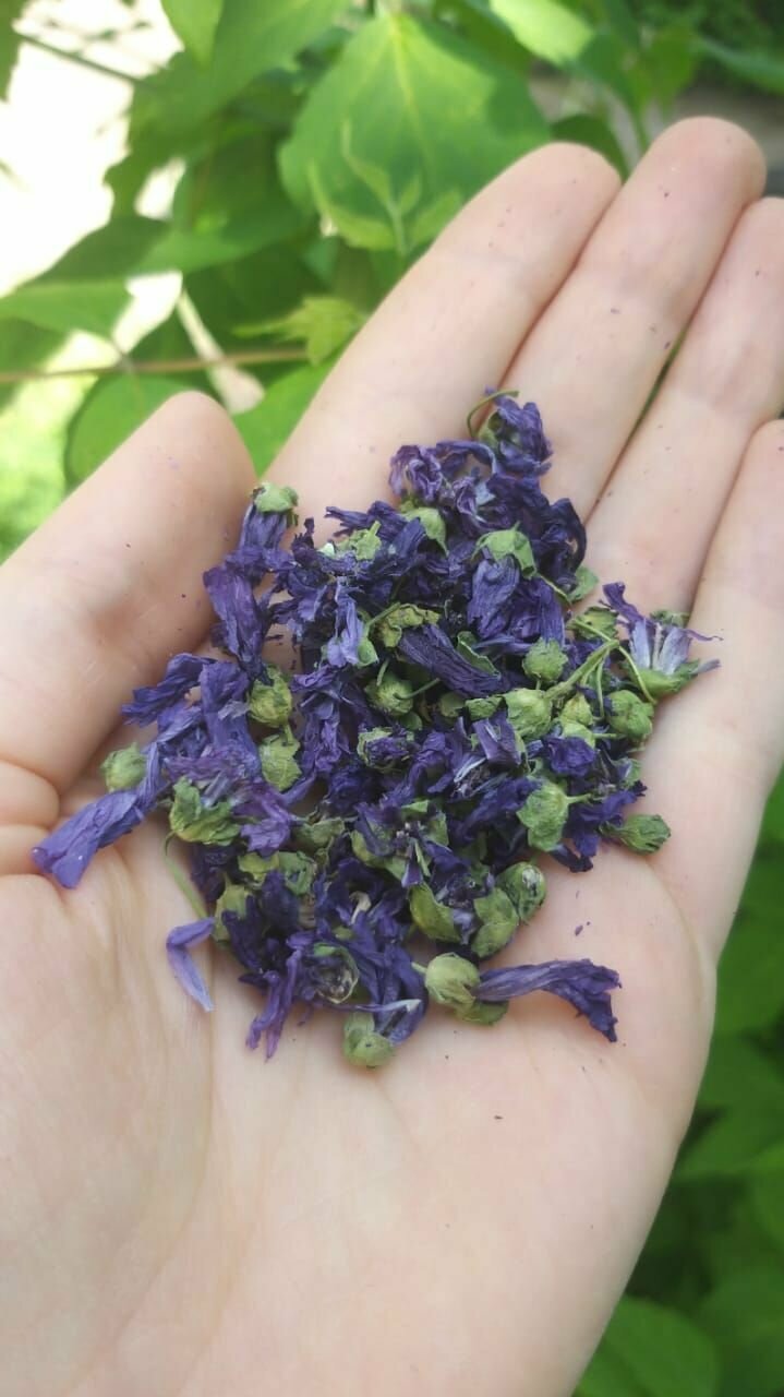 Мальва цветки 300 грамм