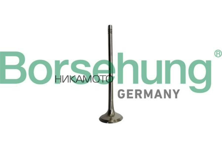 BORSEHUNG B10335 Выпускной клапан