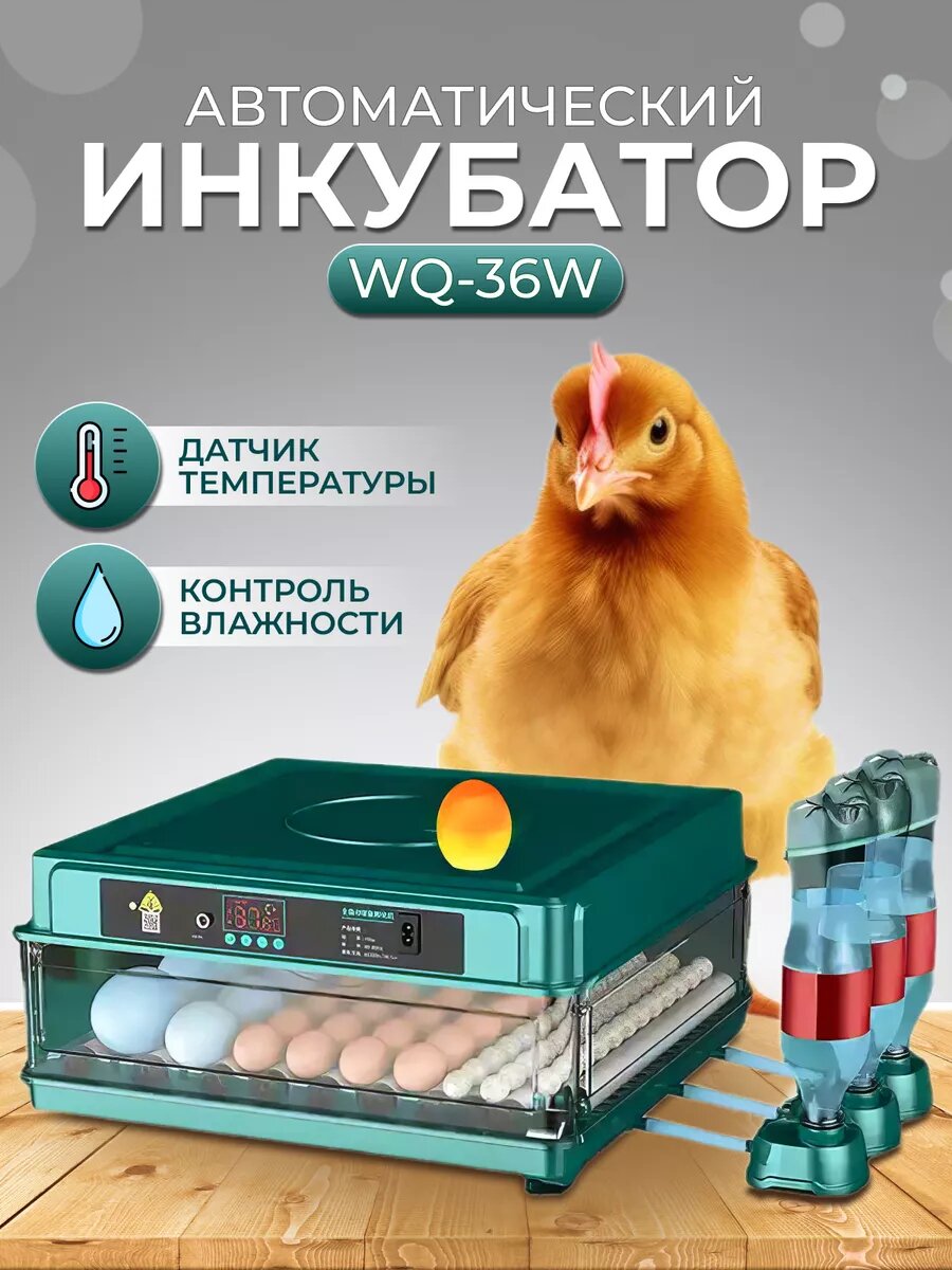 Инкубатор для яиц автоматический с терморегулятором