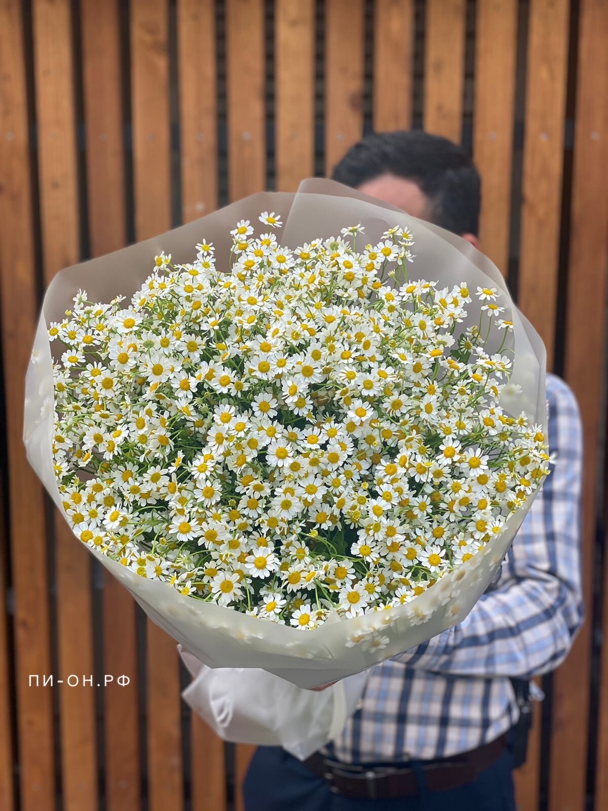 Нежный букет живых цветов, из ароматных ромашек, цвет белый, ромашки полевые камилла, 25 шт