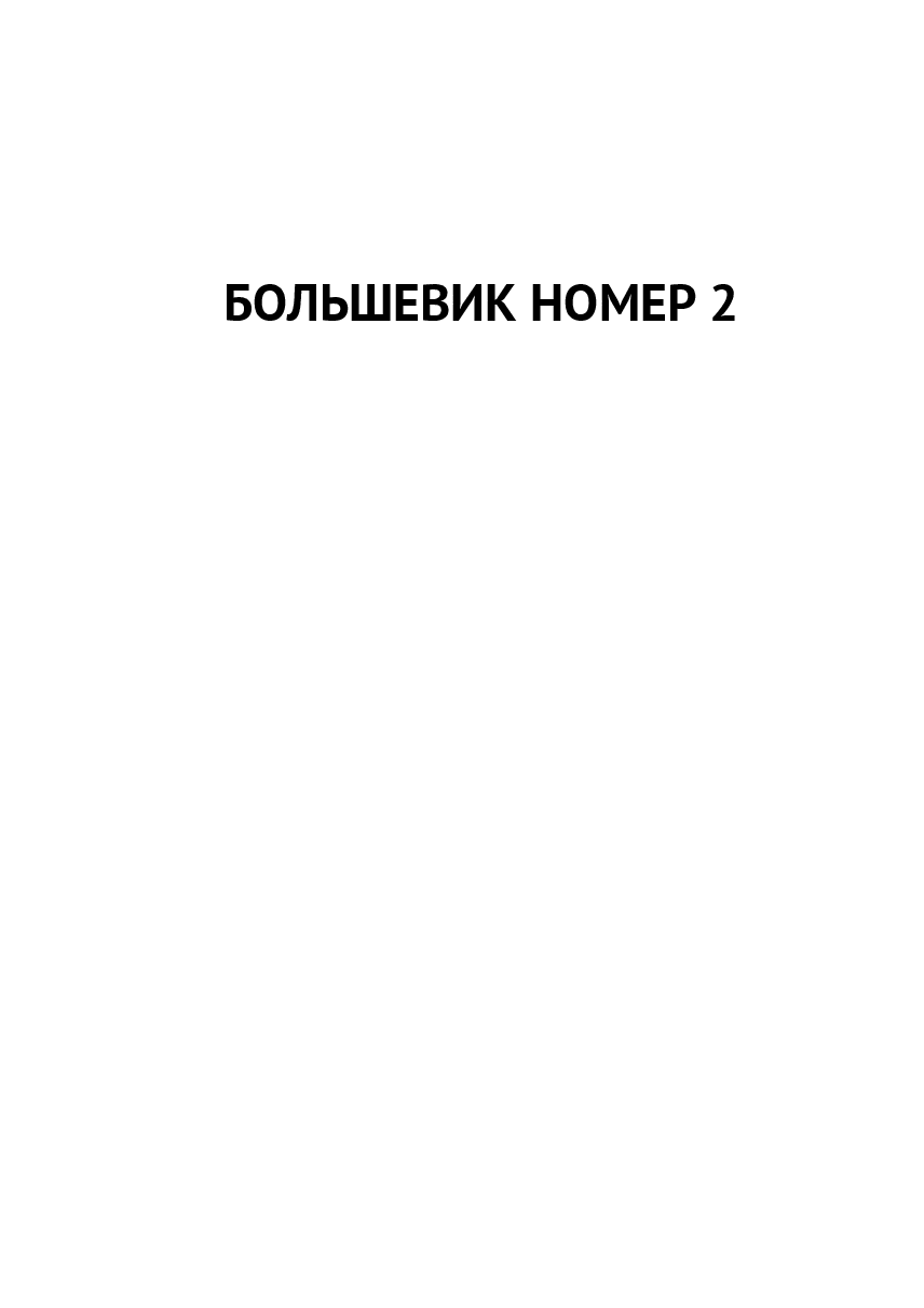 Большевик номер 2 — фото 1