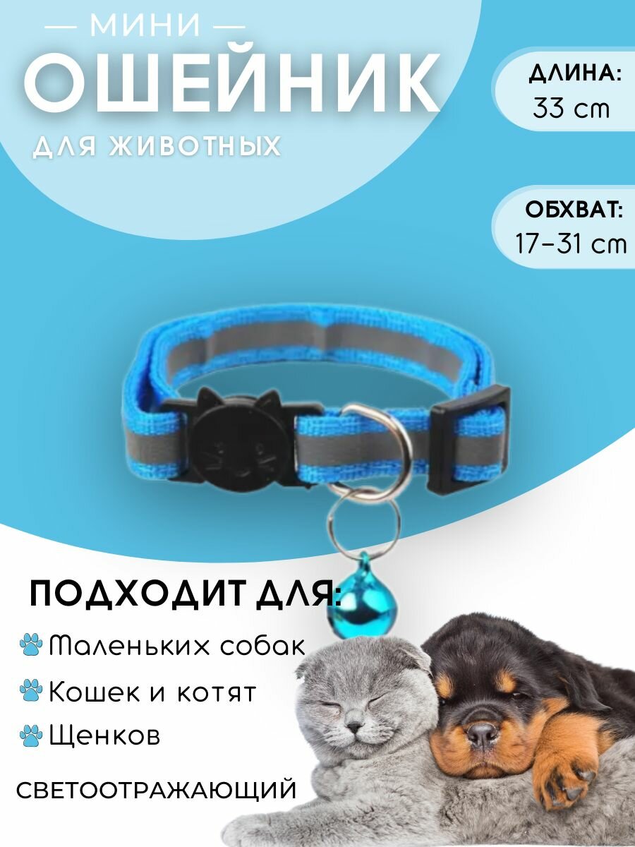 Ошейник для кошки с gps и камерой — купить по низкой цене на Яндекс Маркете