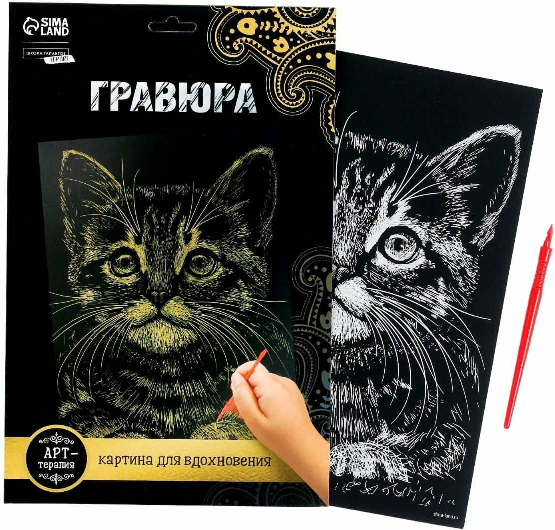 Гравюра "Котёнок" со штихелем, с металлическим эффектом "золото", А4, основа для картины со скретч-слоем и нанесенным контуром, набор для рисования и творчества, скретчинг
