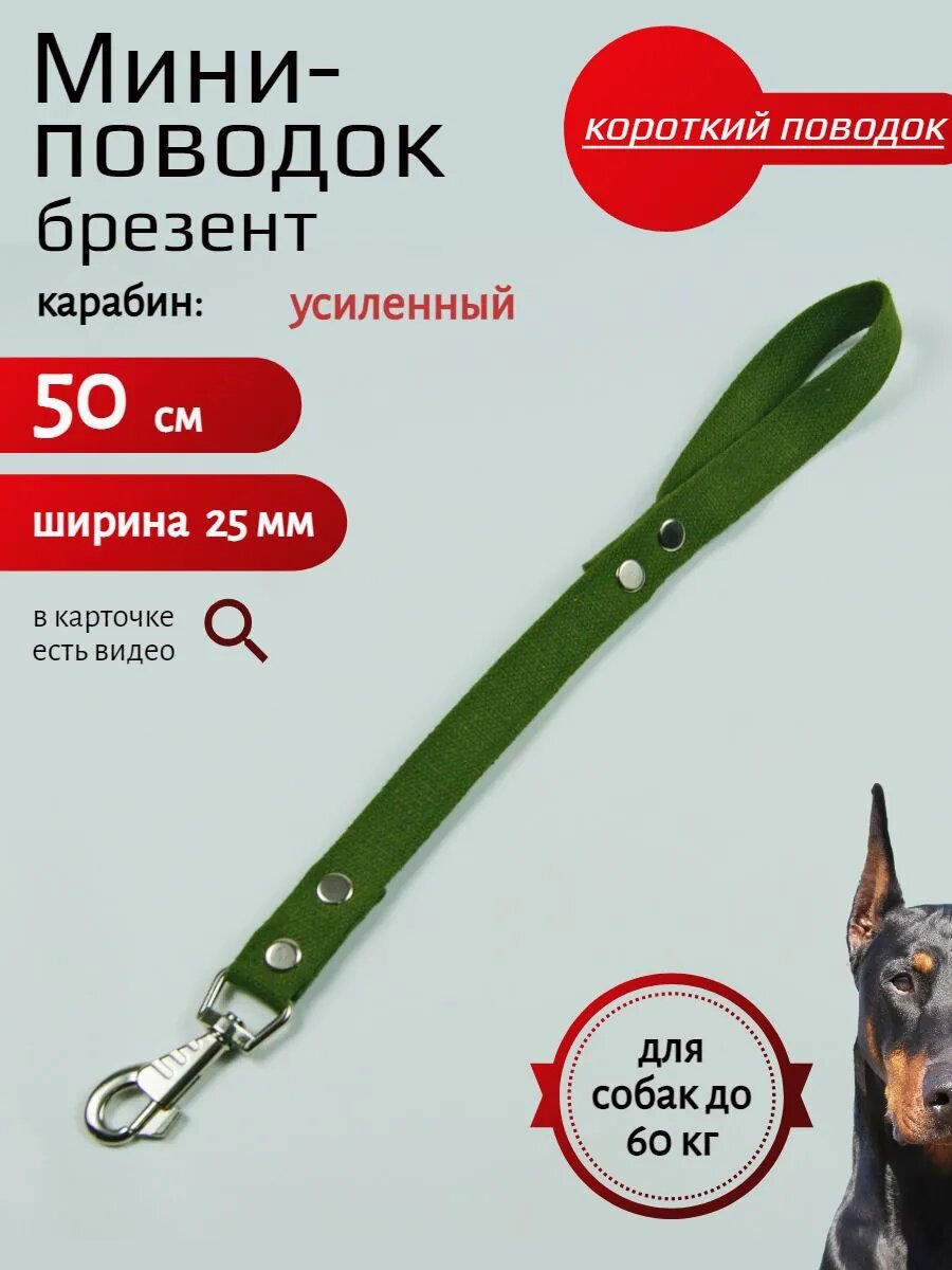 Мини-поводок Хвостатыч для собак с усиленным карабином брезент 50 см х 25 мм (зеленый)