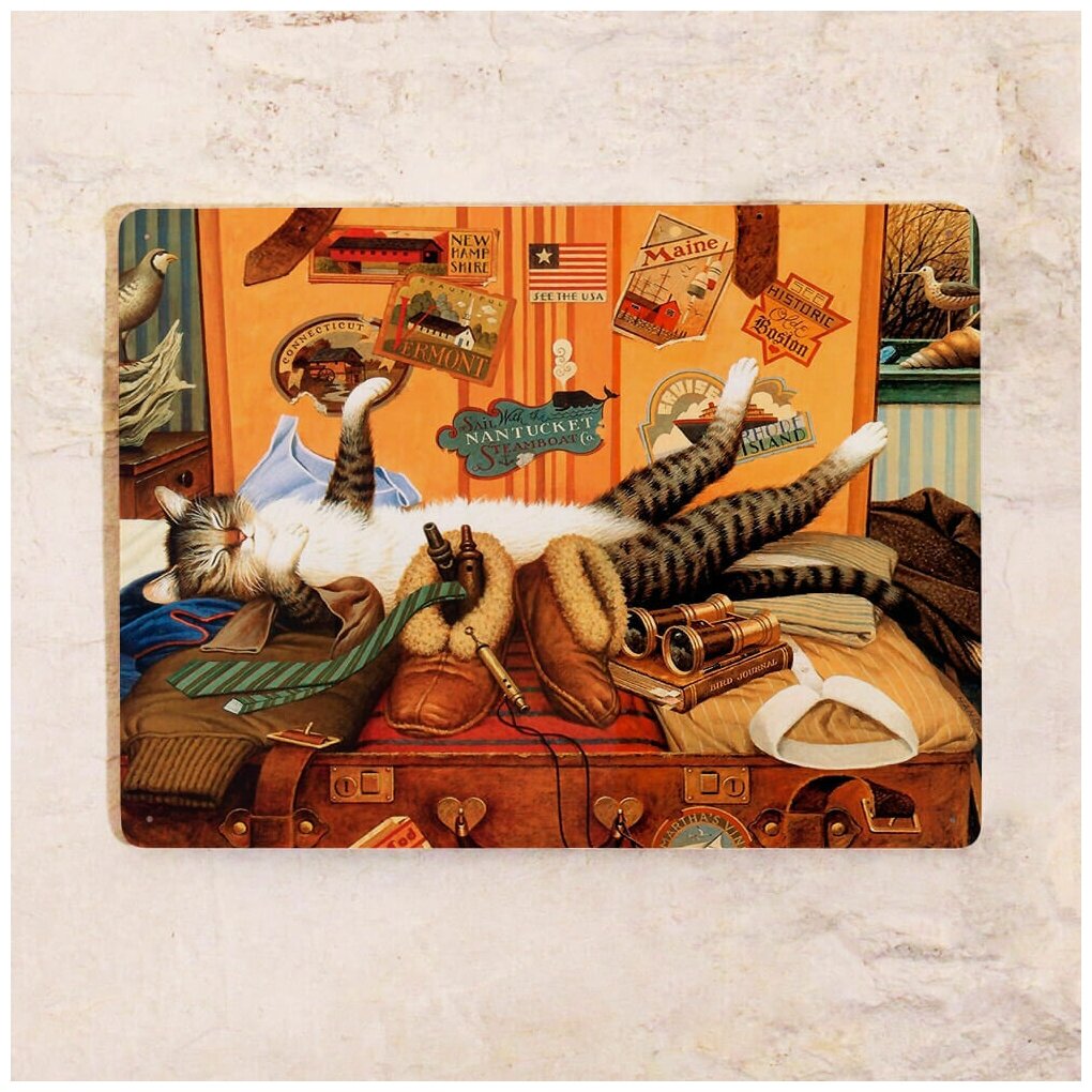 Металлическая табличка Кот путешественник, металл, 20х30 см