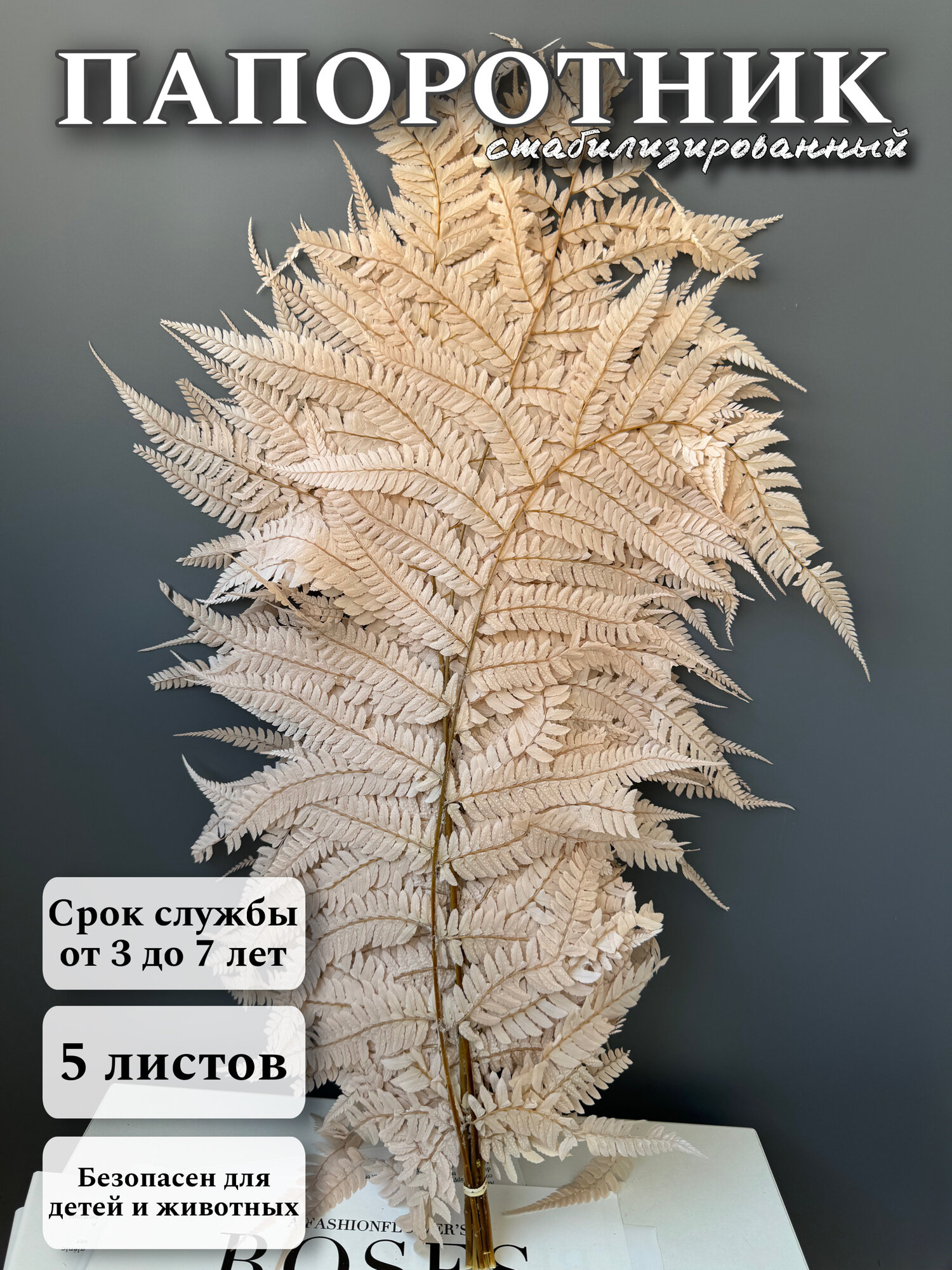 Лист папоротника стабилизированный для декора