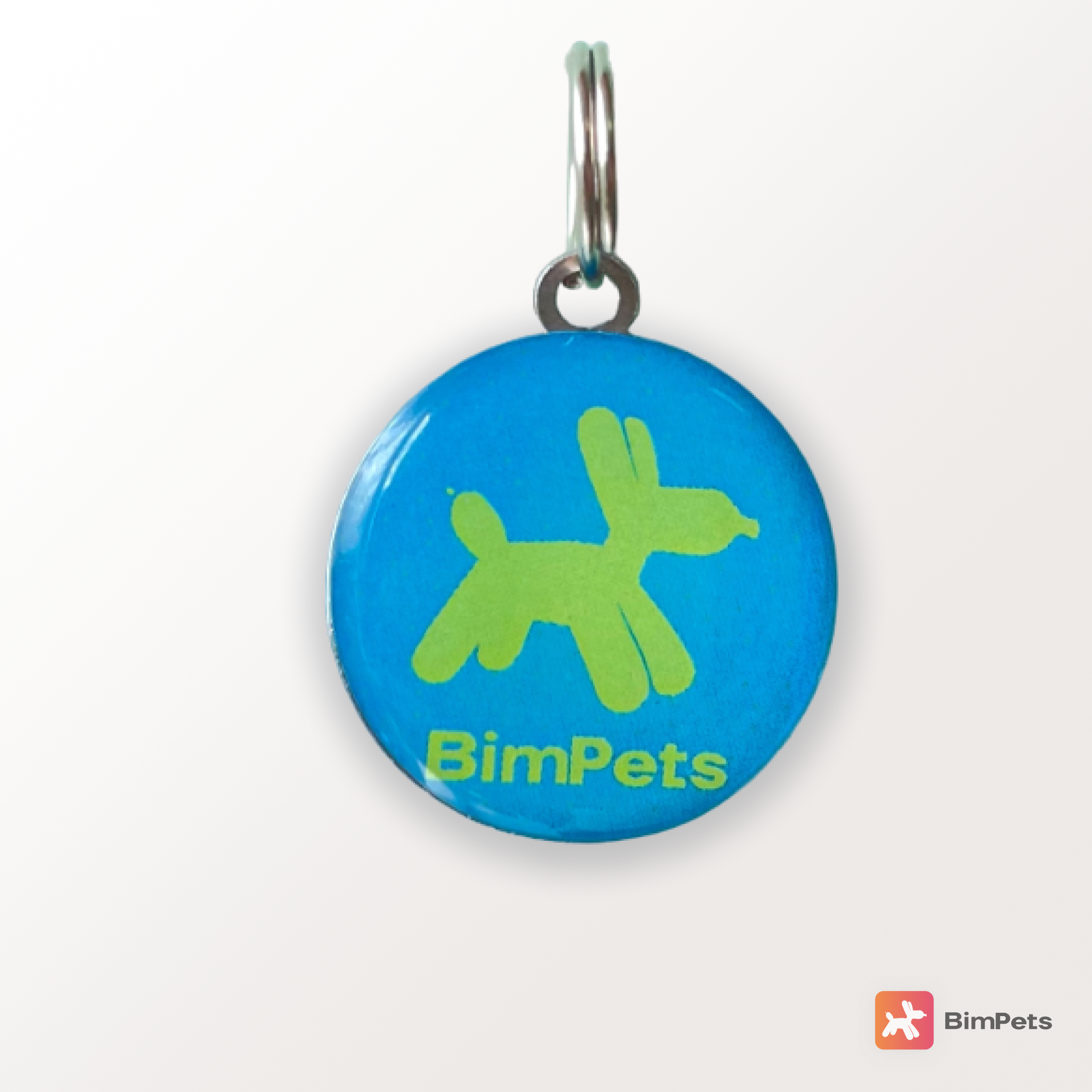 Адресник BimPets для домашних животных с QR меткой (бирюзовый)