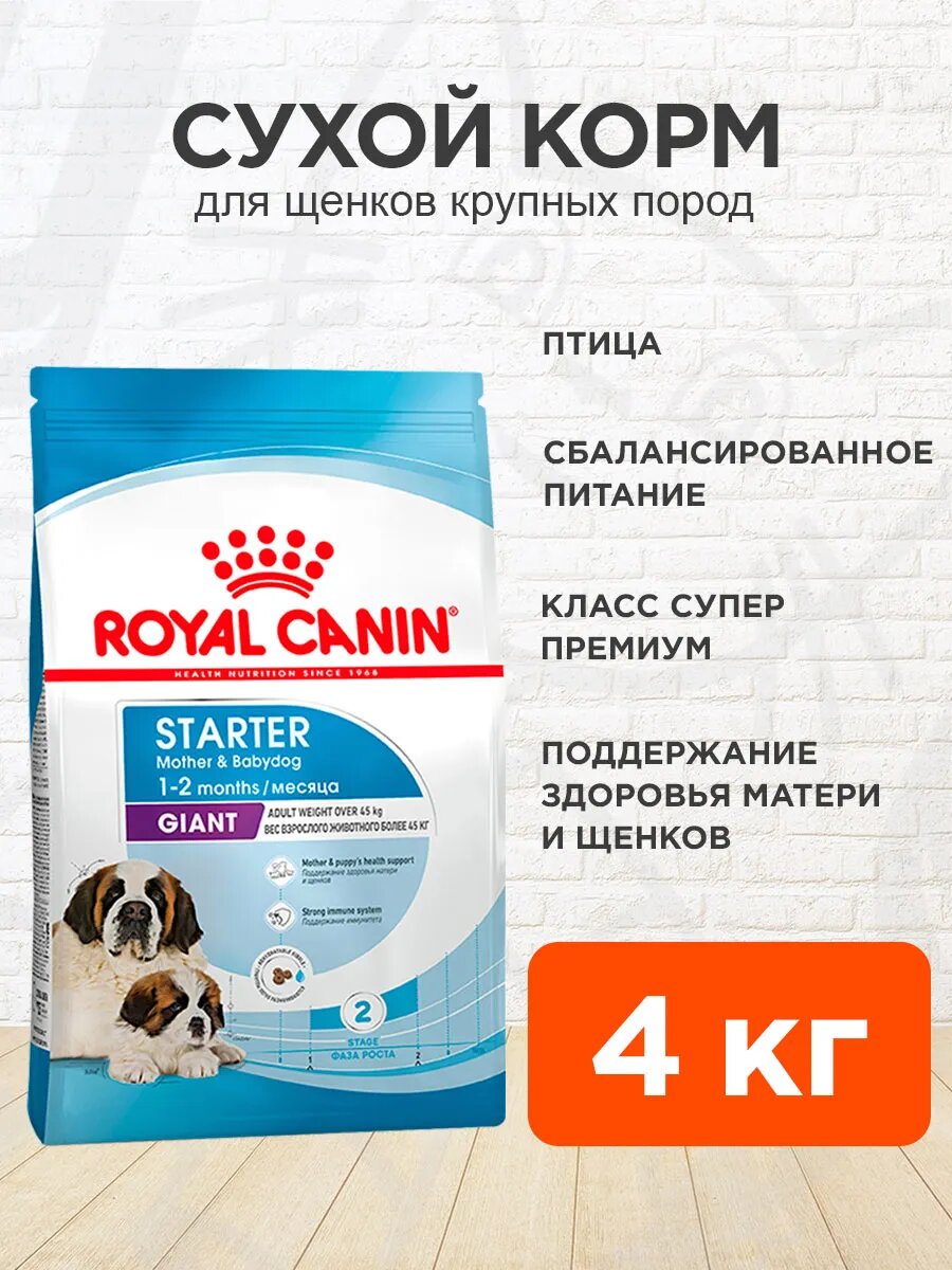 Корм сухой Royal Canin Giant Starter для щенков крупных пород до 2 месяцев, беременных и кормящих собак, 4 кг
