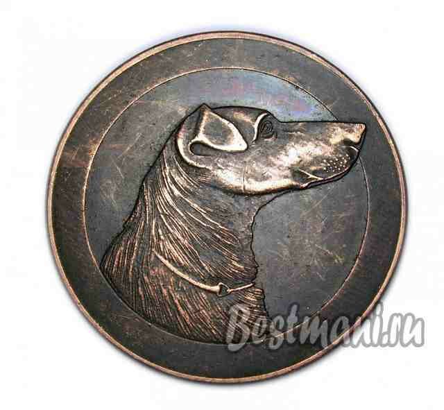 Общество любителей фокстерьеров и такс сувенирная копия медали 1900 года медь, ордена медали и награды