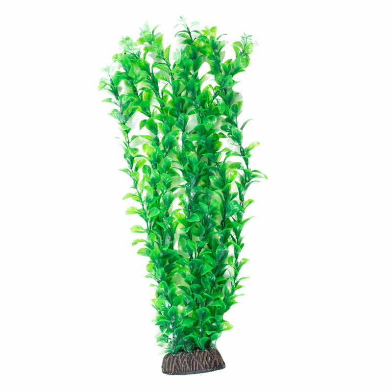 Растение "Людвигия", зеленое, 400мм, Laguna AQUA