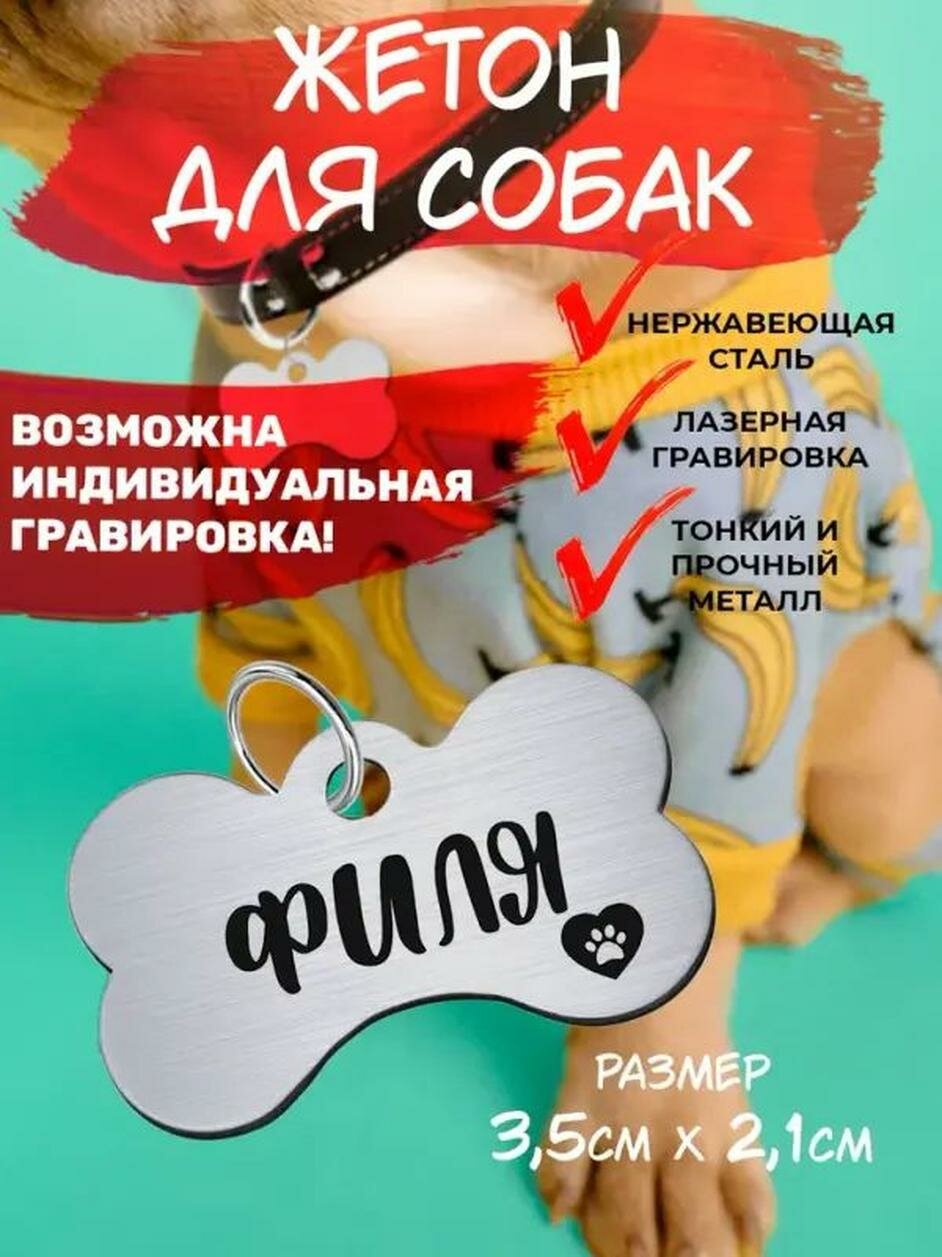 Адресник для собаки с гравировкой, нерж. сталь, серебристый, Филя