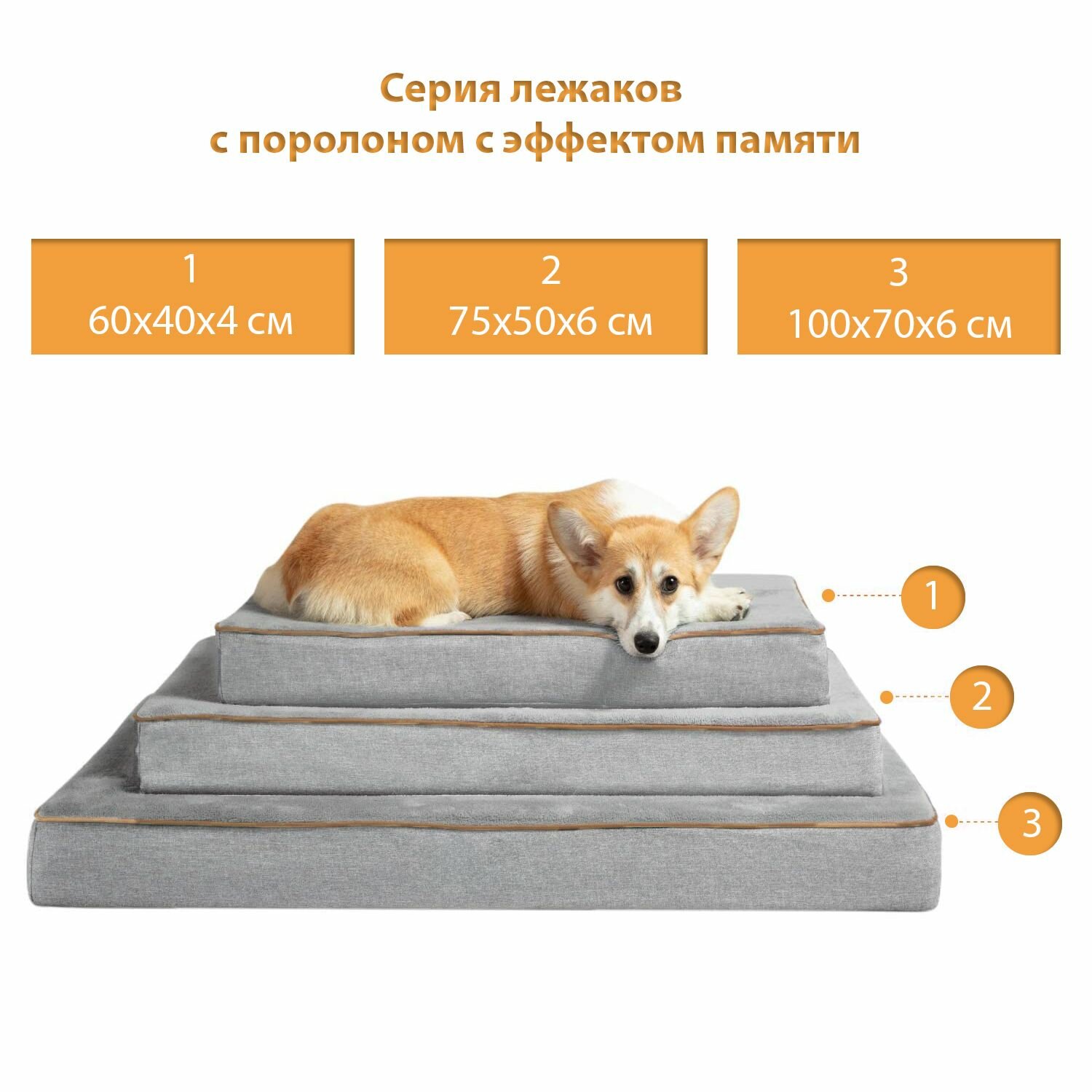 Лежак плоский, пена с эффектом памяти+поролон ЛЭП-02с, 75х50х6см