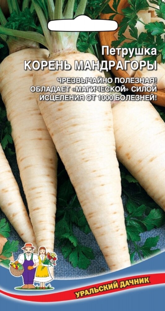 Семена Петрушка Корень Мандрагоры корневая 2г Ранние (Уральский Дачник)