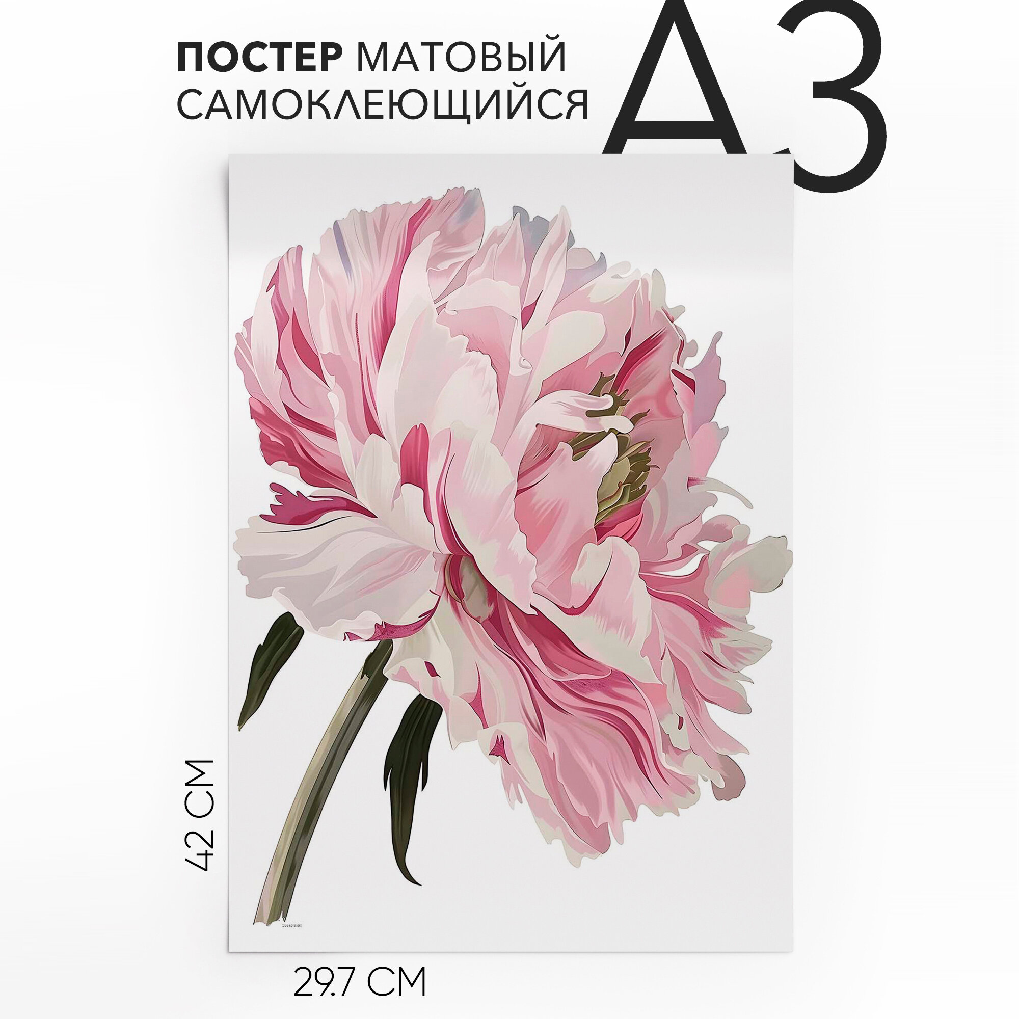 Постеры для комнаты самоклеящийся A3 Пион, влагостойкий, для декора