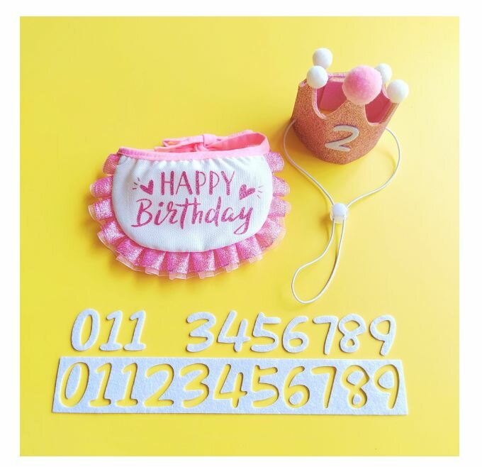 Праздничный набор для кошек и собак