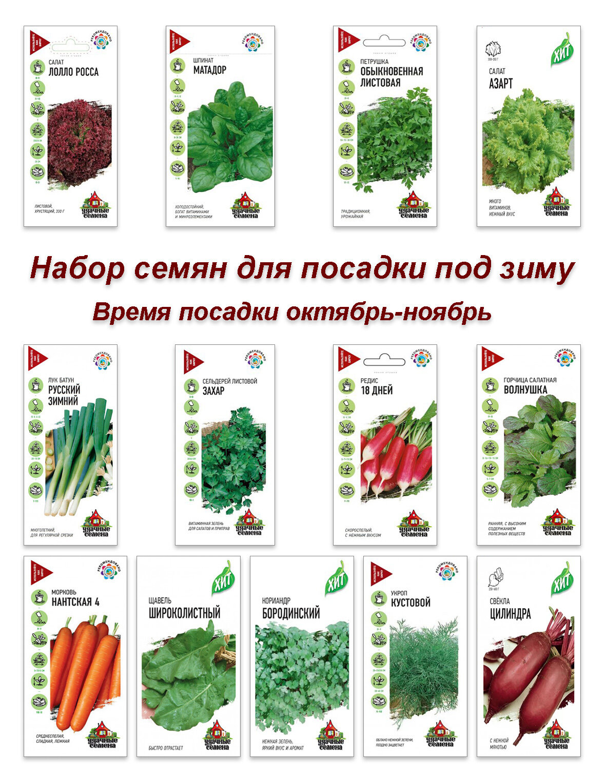 Набор семян для огорода, семена зелени, морковь, свекла и др