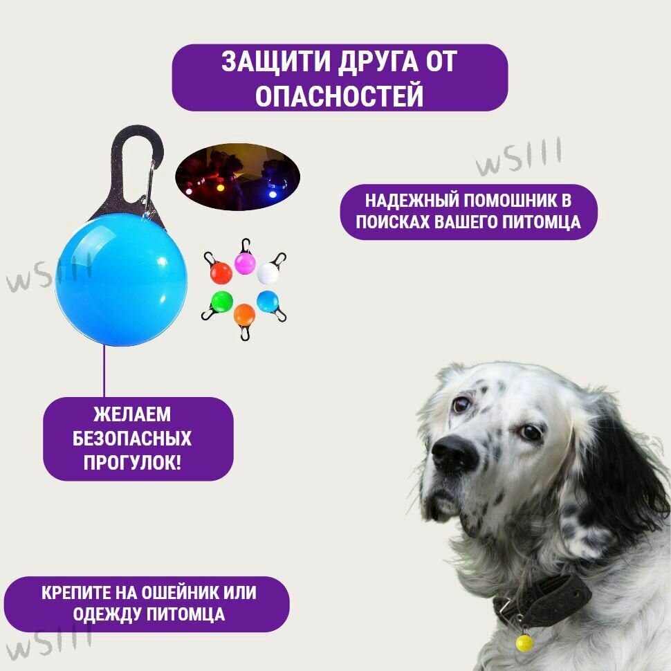 Брелок на ошейникws — фото 1