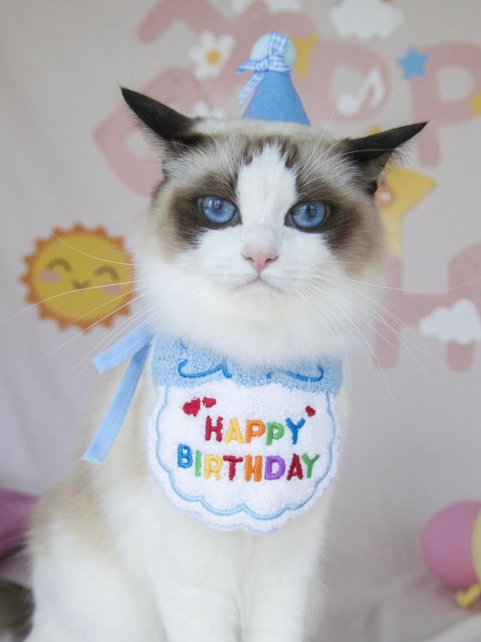 Украшение для животных