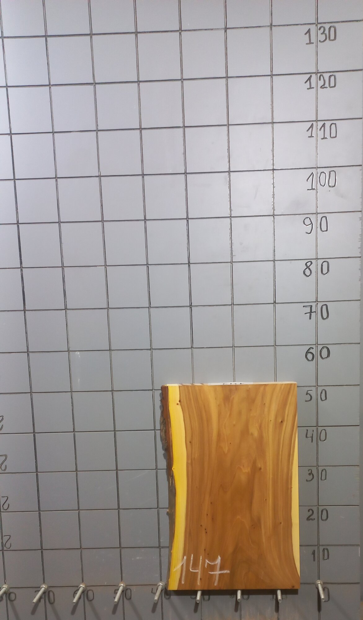 Заготовки для полок Доклес №147, карагач, цельные, сухие, 4.5*29*50 cм