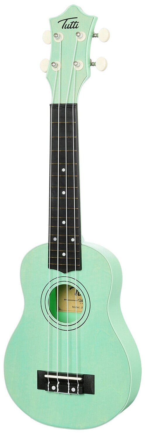JOOL TUTTI JR-10 AQU аквамариновый - Укулеле сопрано