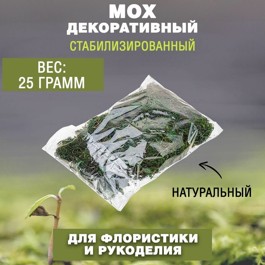 Стабилизированный мох