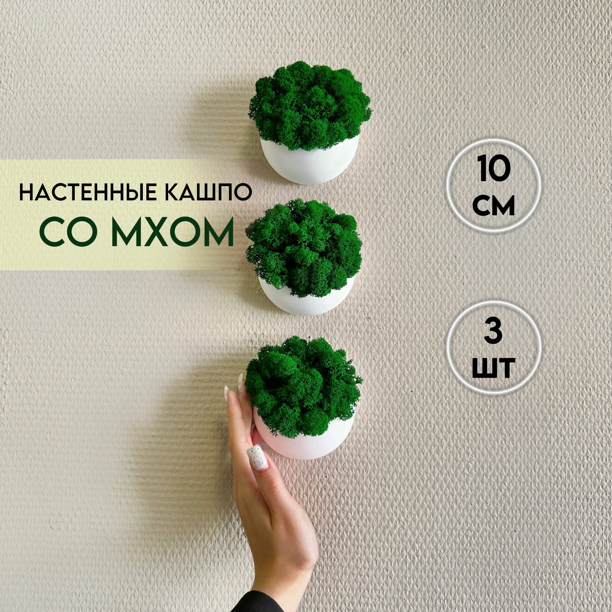 Набор настенных декоративных кашпо 10 см 3 шт белого цвета со стабилизированным мхом на стену интерьерное сухоцветы, Molecula Decor