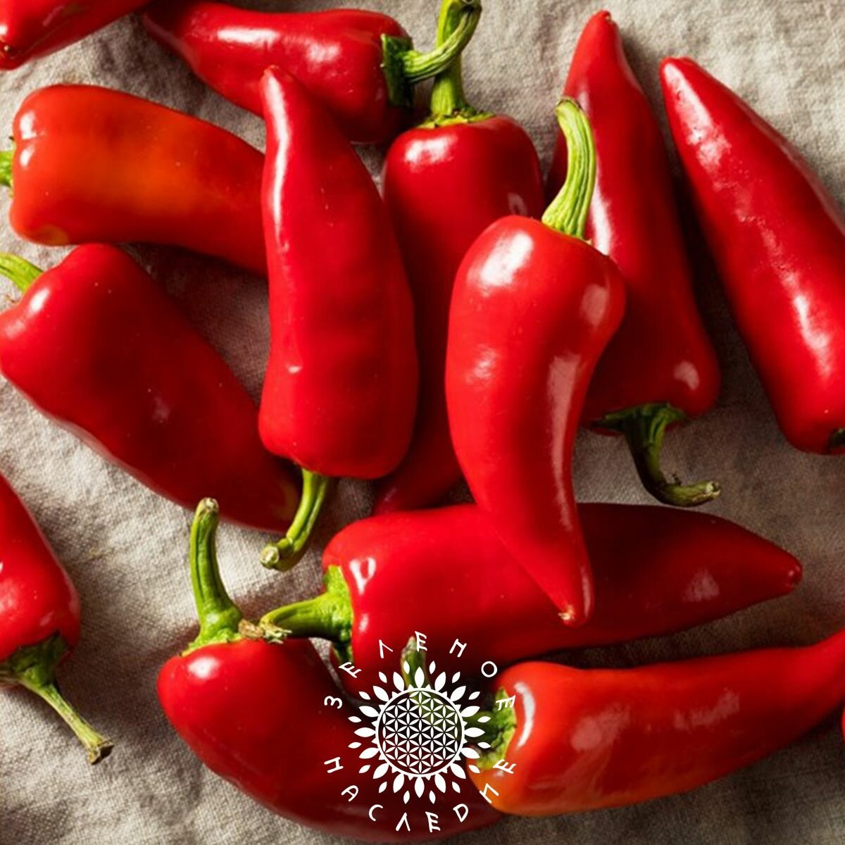 Семена Перец Aji piura (лат. Capsicum baccatum) 5шт